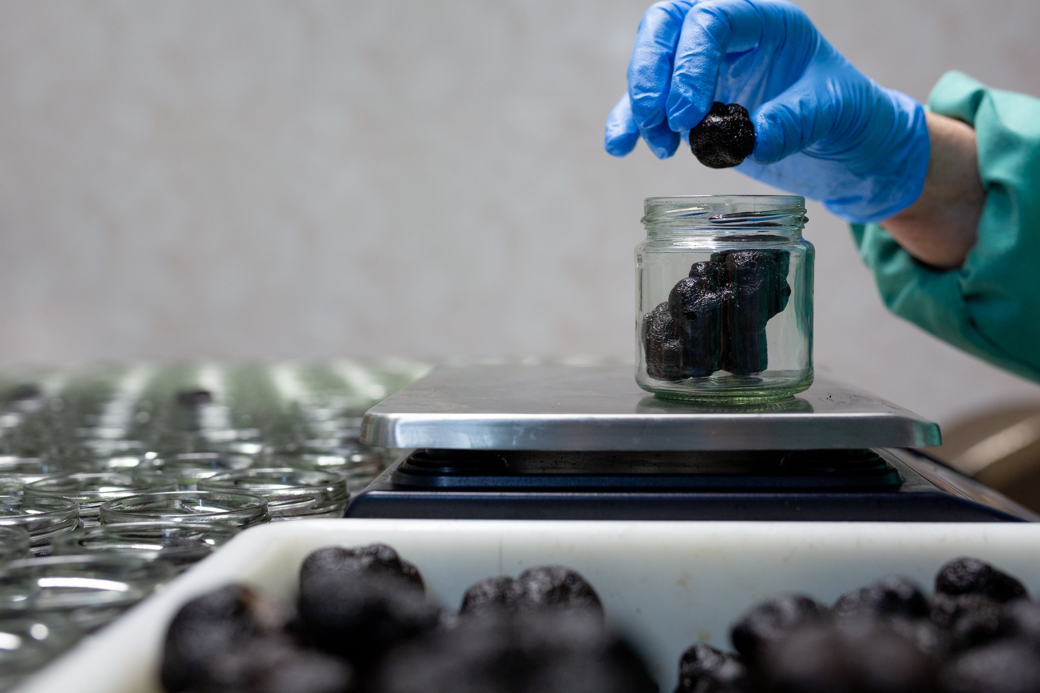 How to preserve fresh truffles – SHOP EU